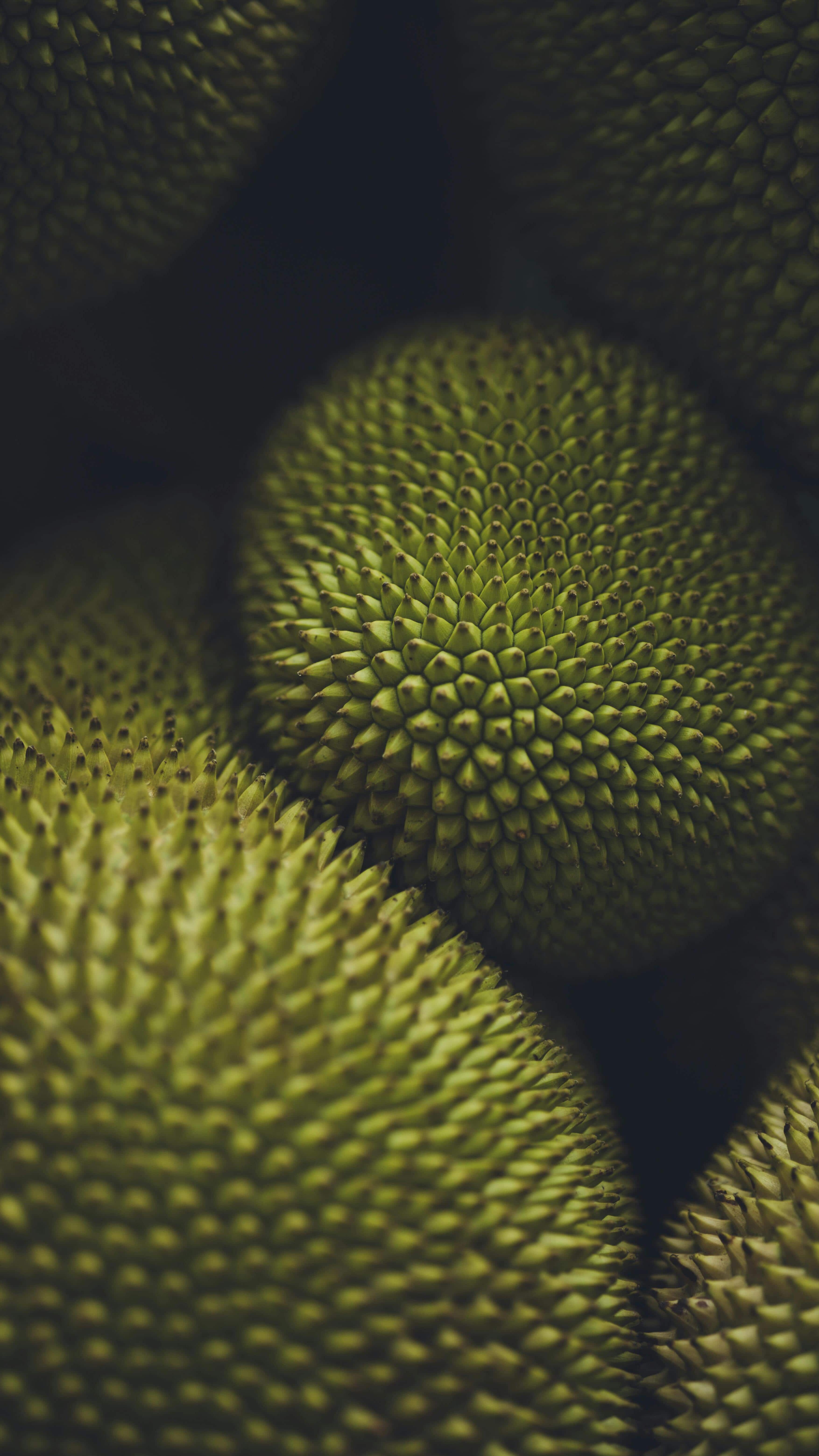 8 go-to kitchen foods that are actually superfoods