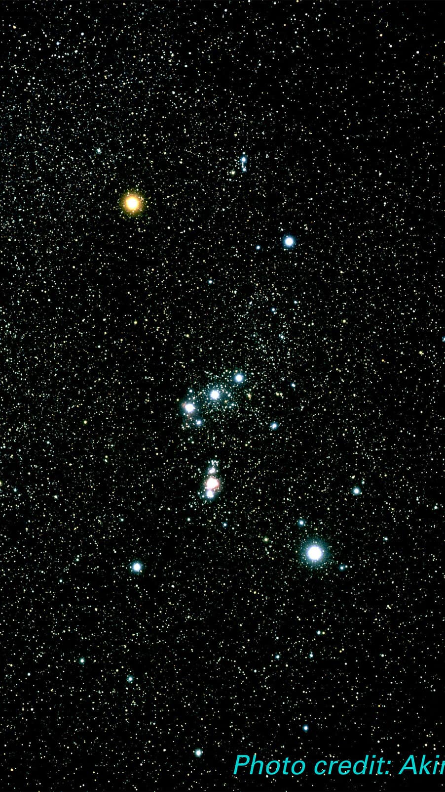 Orion Nebula Hd NASA Telescopes Discover Brown Dwarf Protoplanetary