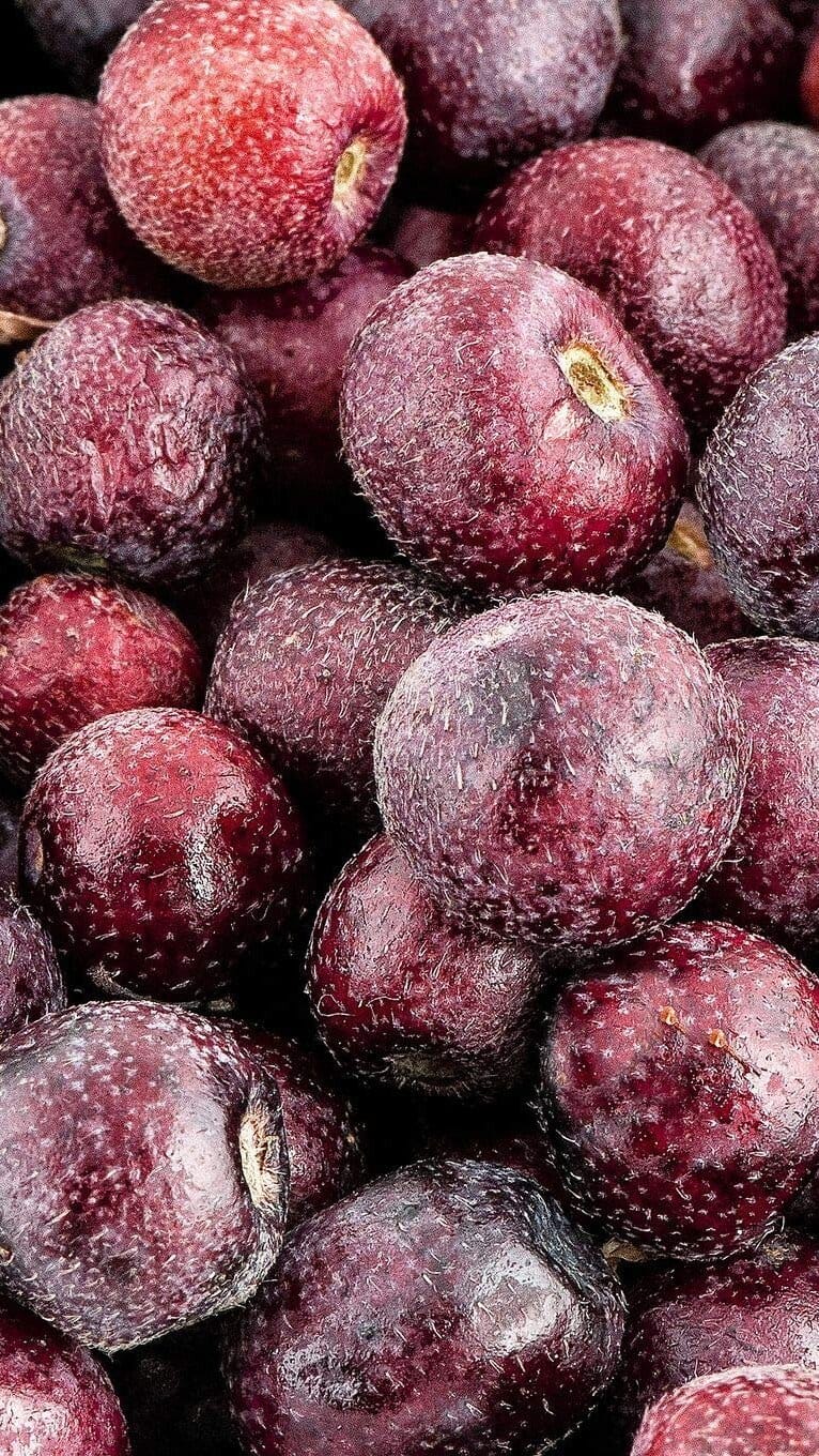 Falsa fruit in english store