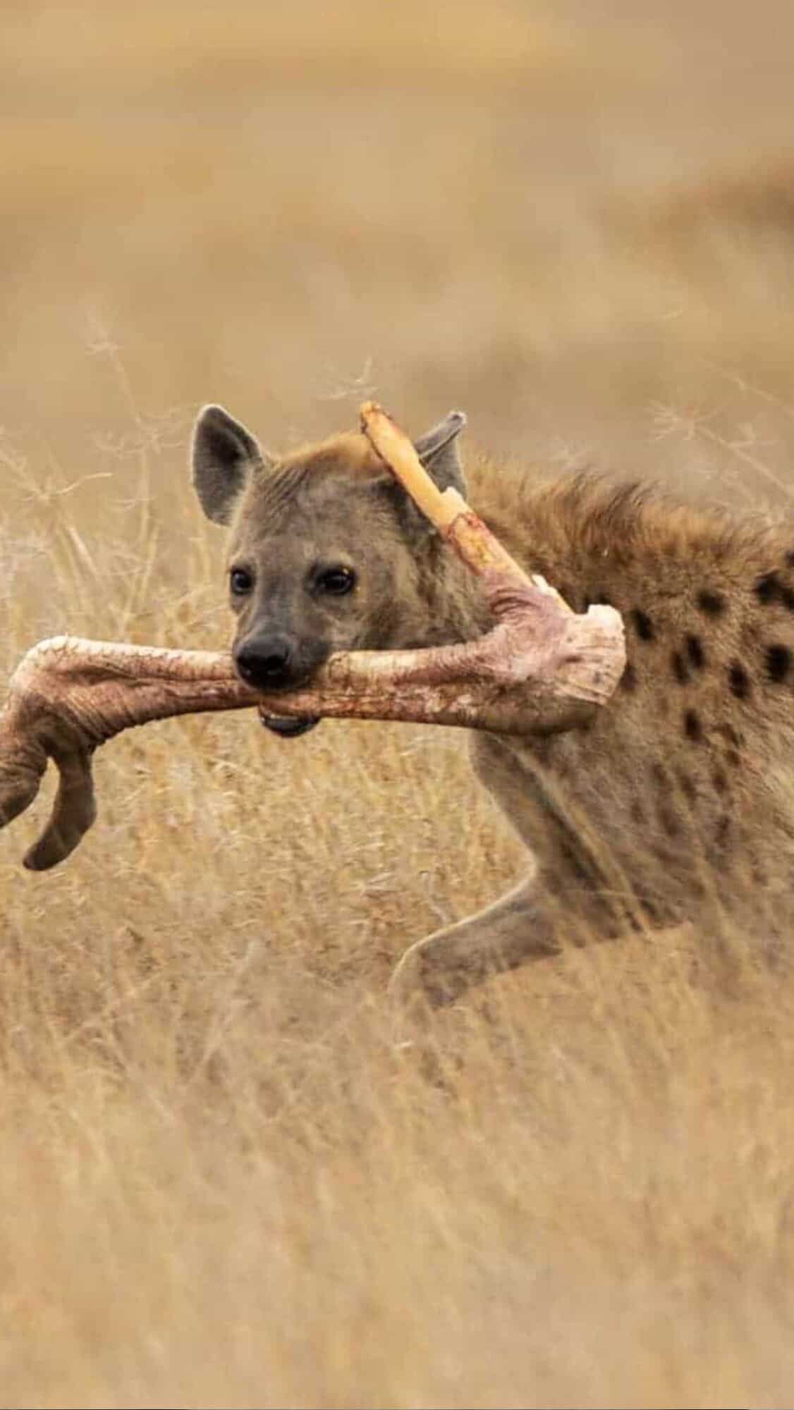 DNA - Daily News & Analysis - Preston Media Database - Intelligent ...