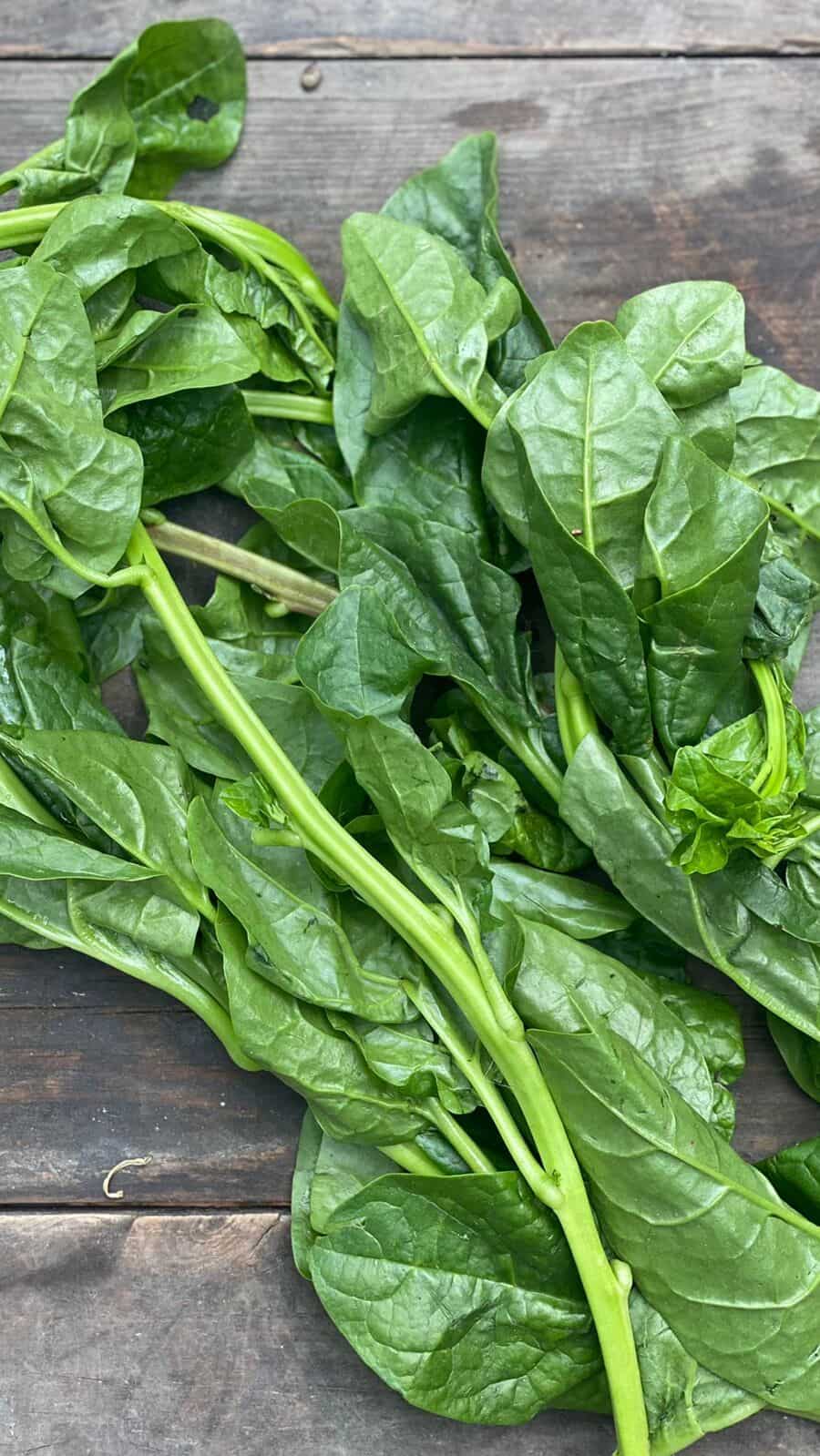 Leafy Vegetables In India - Infoupdate.org