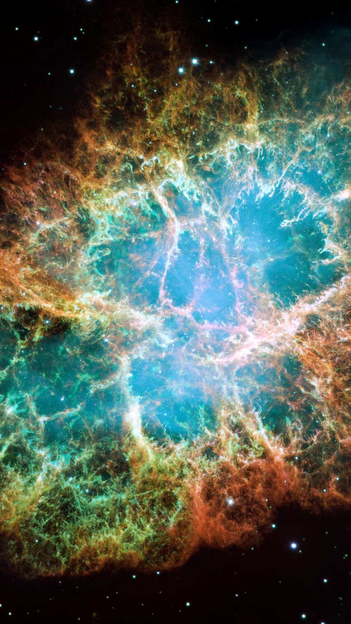 What Are Nebulas Made Of