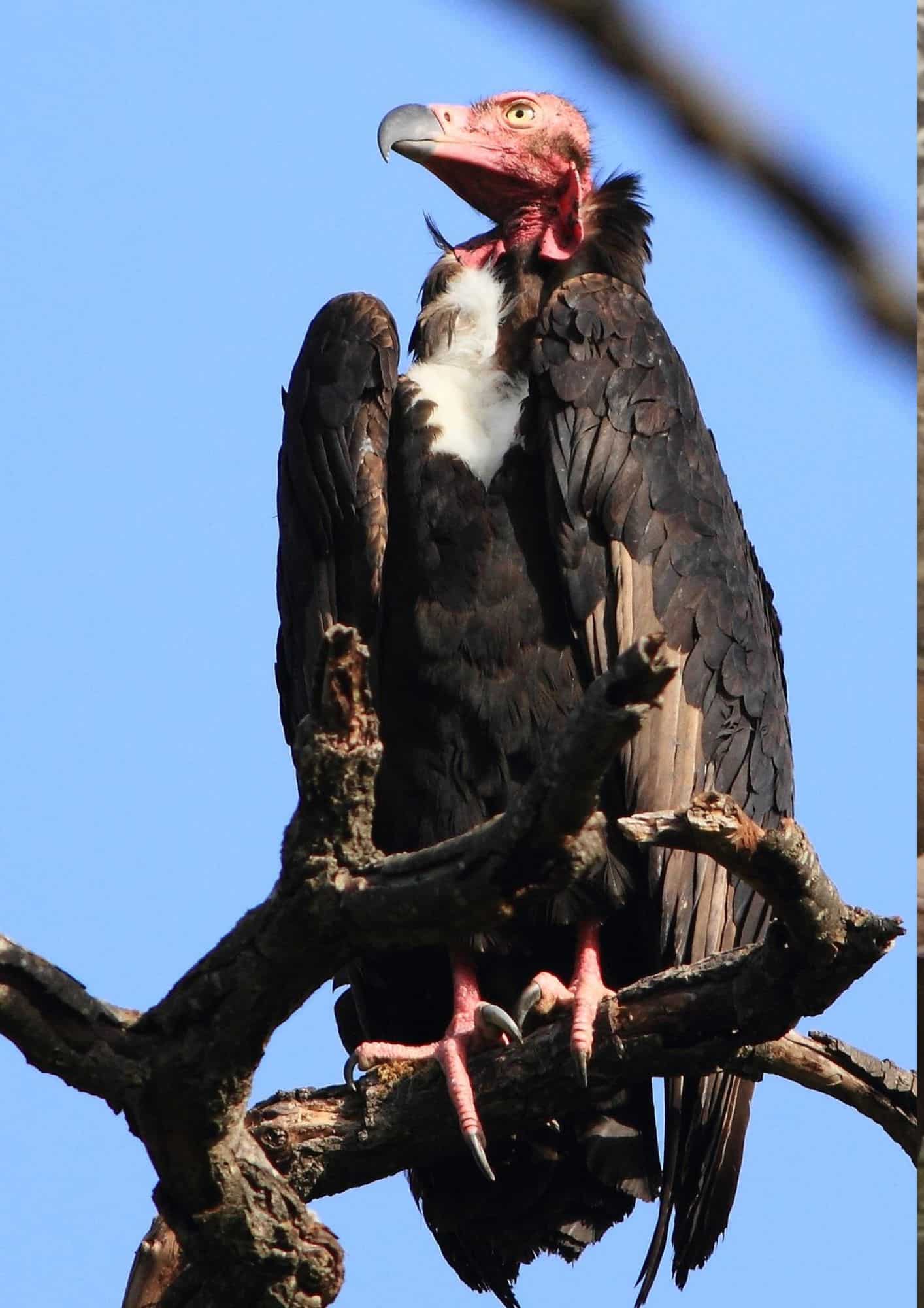 DNA India | Latest News, Live Breaking News on India, Politics, World ...