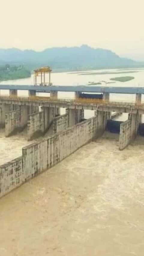 Hathnikund Barrage: जानते हैं बैराज और बांध में क्या है अंतर