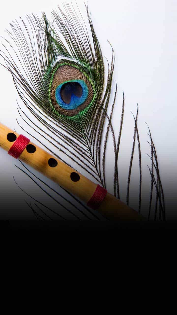 खाली तिजोरी भर देगा मोरपंख, जान लें और भी फायदे